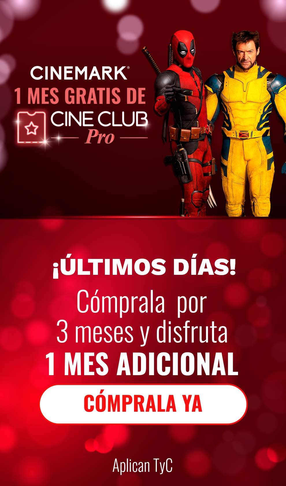 Copyright © 2024 Sundevs Inc. All Rights Reserved