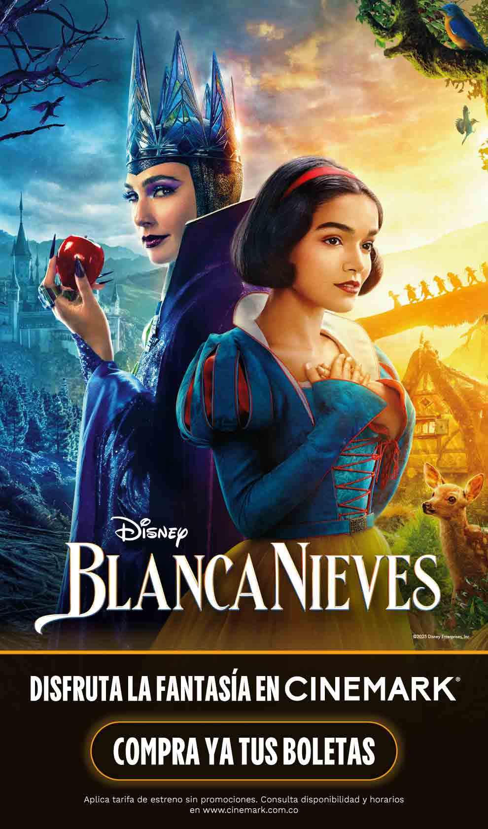 Copyright © 2024 Sundevs Inc. All Rights Reserved