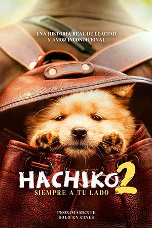 Hachiko 2